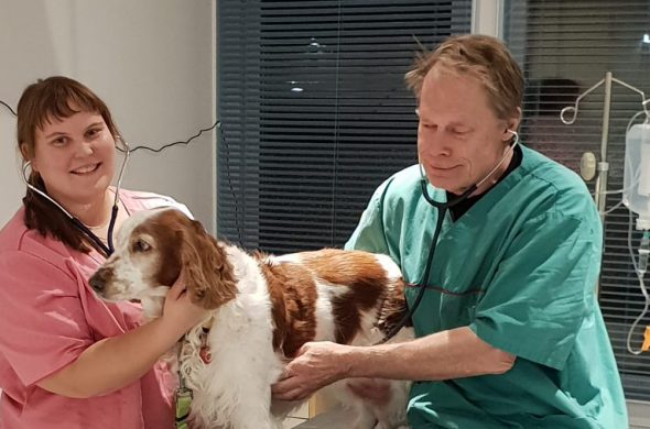 Anders Albert Tegner nominerad till Årets Veterinär - VeterinärMagazinet