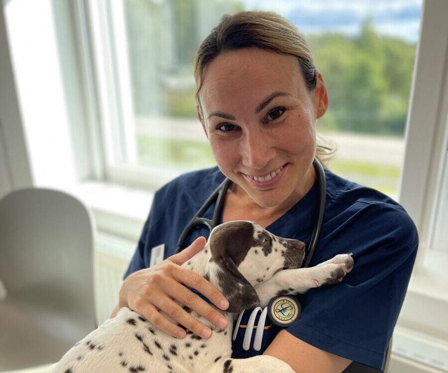 Alexandra von Knorring nominerad till Årets Veterinär - VeterinärMagazinet