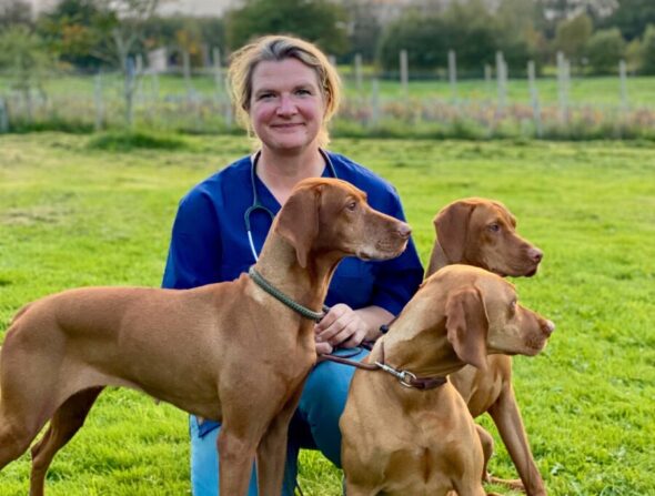 Sofia Müller nominerad till Årets Veterinär - VeterinärMagazinet