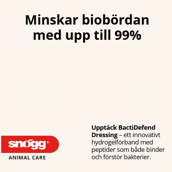 Fass Djur ny app för den moderna djursjukvården - VeterinärMagazinet