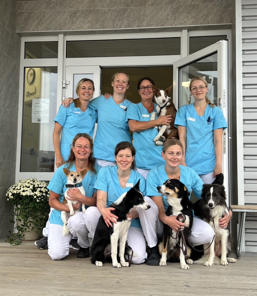 Från tidningen: Frey Veterinärklinik i framkant med ...