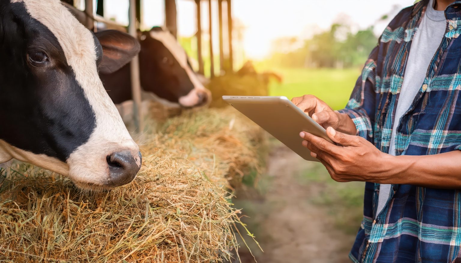 Fass Djur ny app för den moderna djursjukvården - VeterinärMagazinet