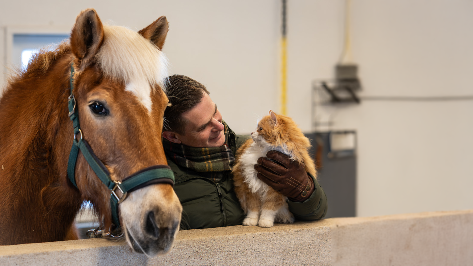 Fass Djur ny app för den moderna djursjukvården - VeterinärMagazinet